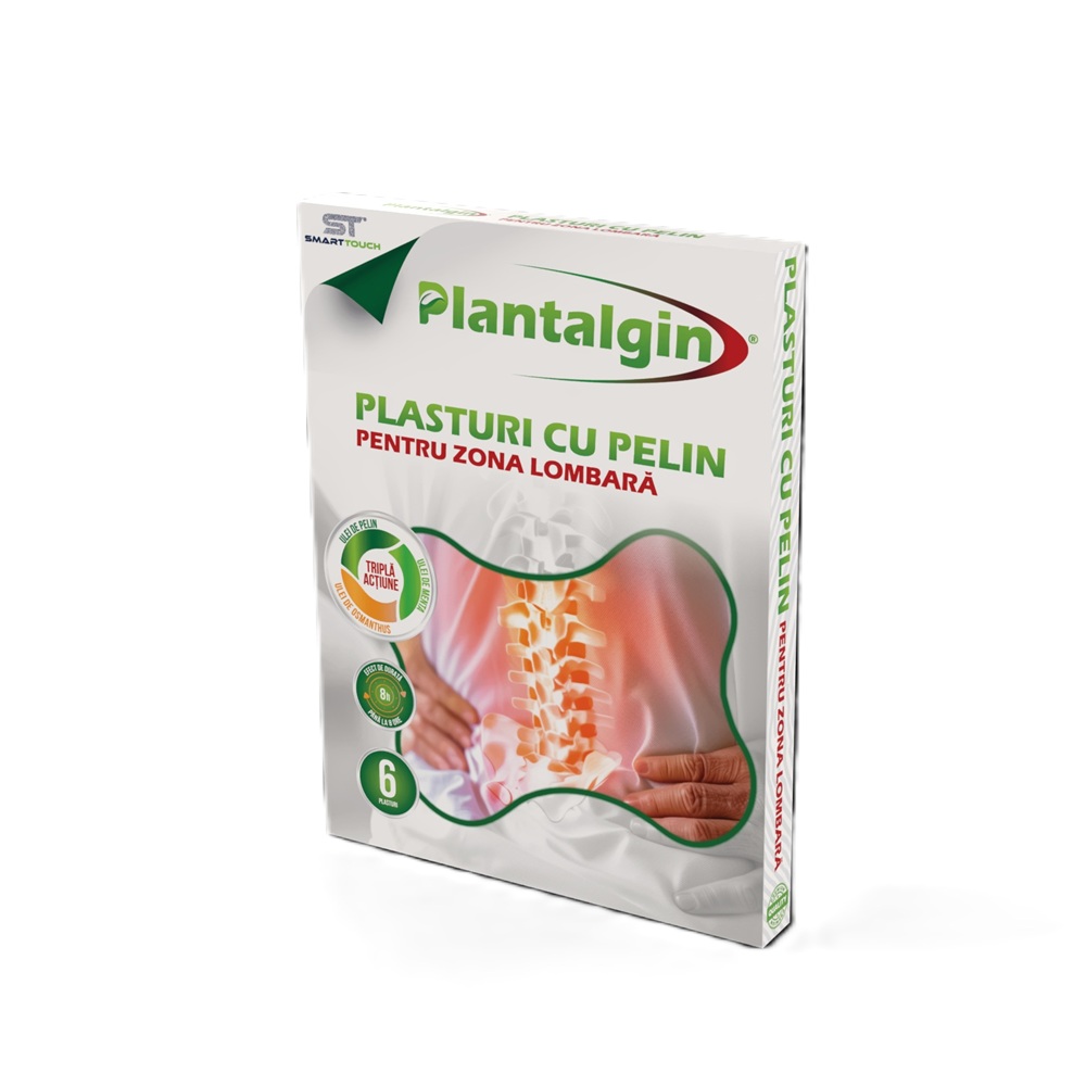 Plasturi cu Pelin pentru dureri lombare, 6 bucati, Plantalg : Farmacia ...