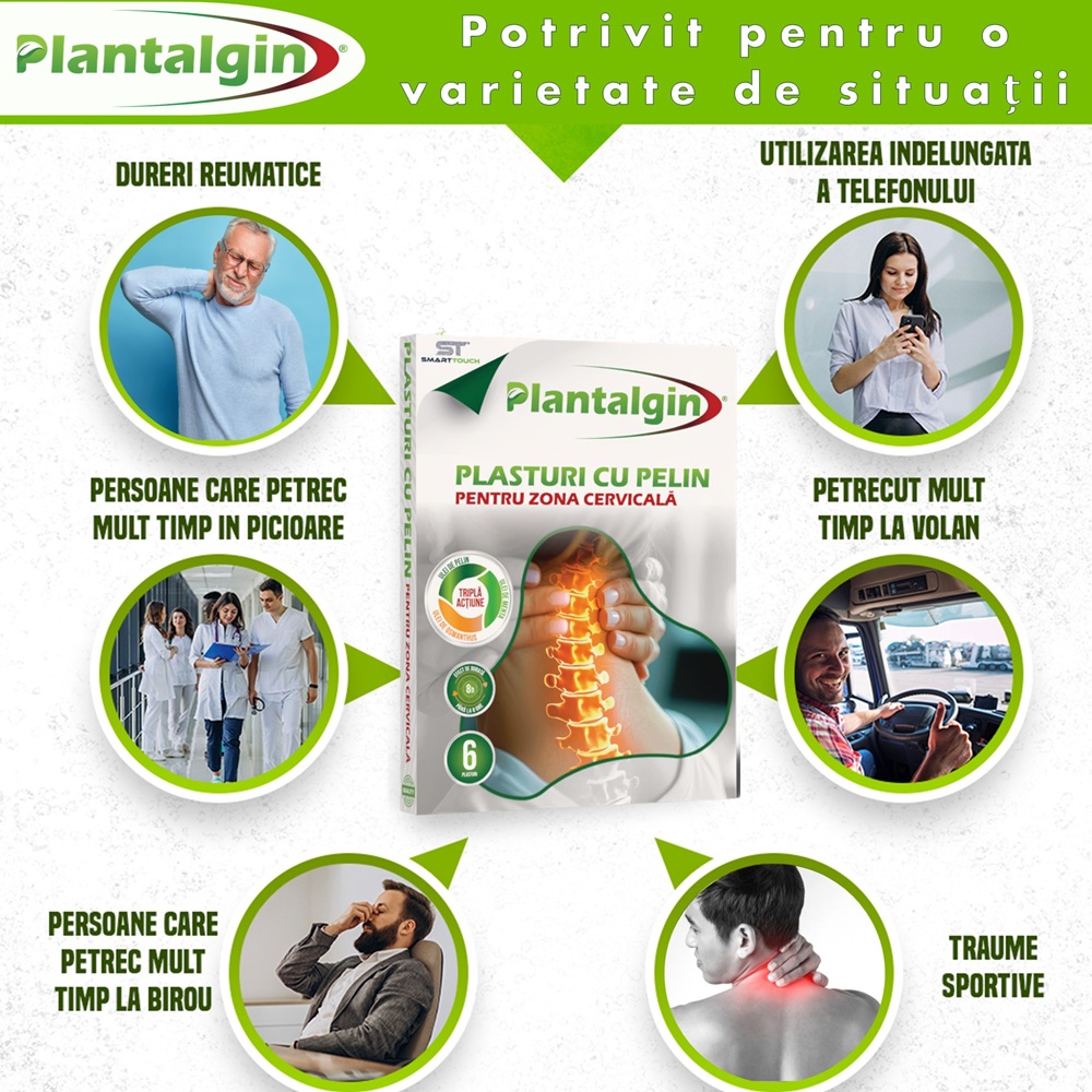 Plasturi cu Pelin pentru dureri de genunchi, 6 bucati, Plan : Farmacia ...