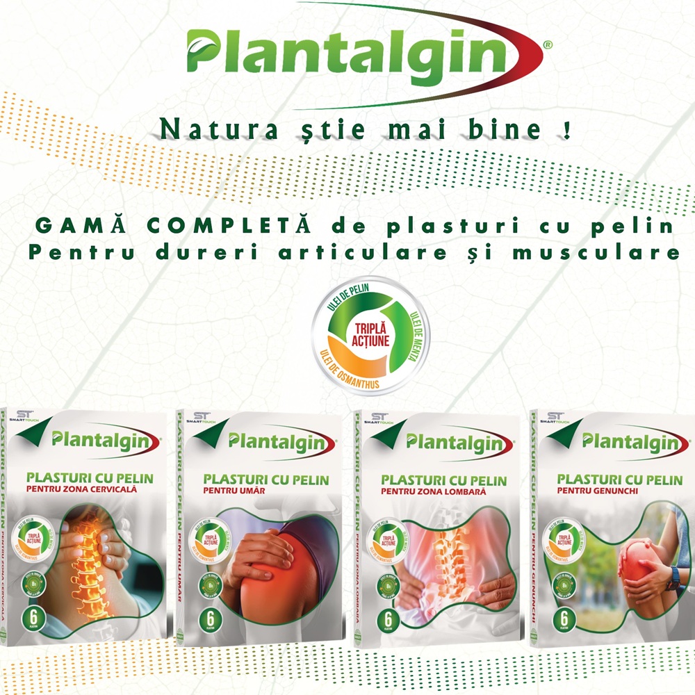 Plasturi cu Pelin pentru dureri de umar, 6 bucati, Plantalg : Farmacia ...