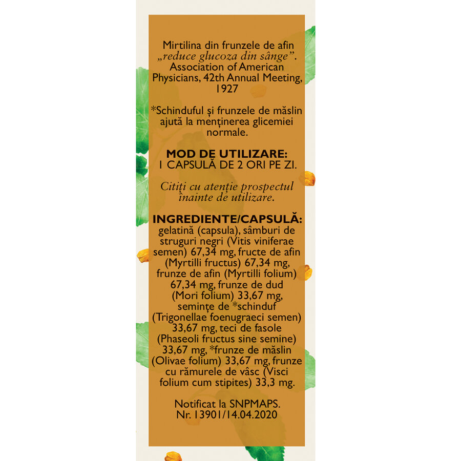 Glicostat Forte M108, 60 capsule, Fares : Farmacia Tei online