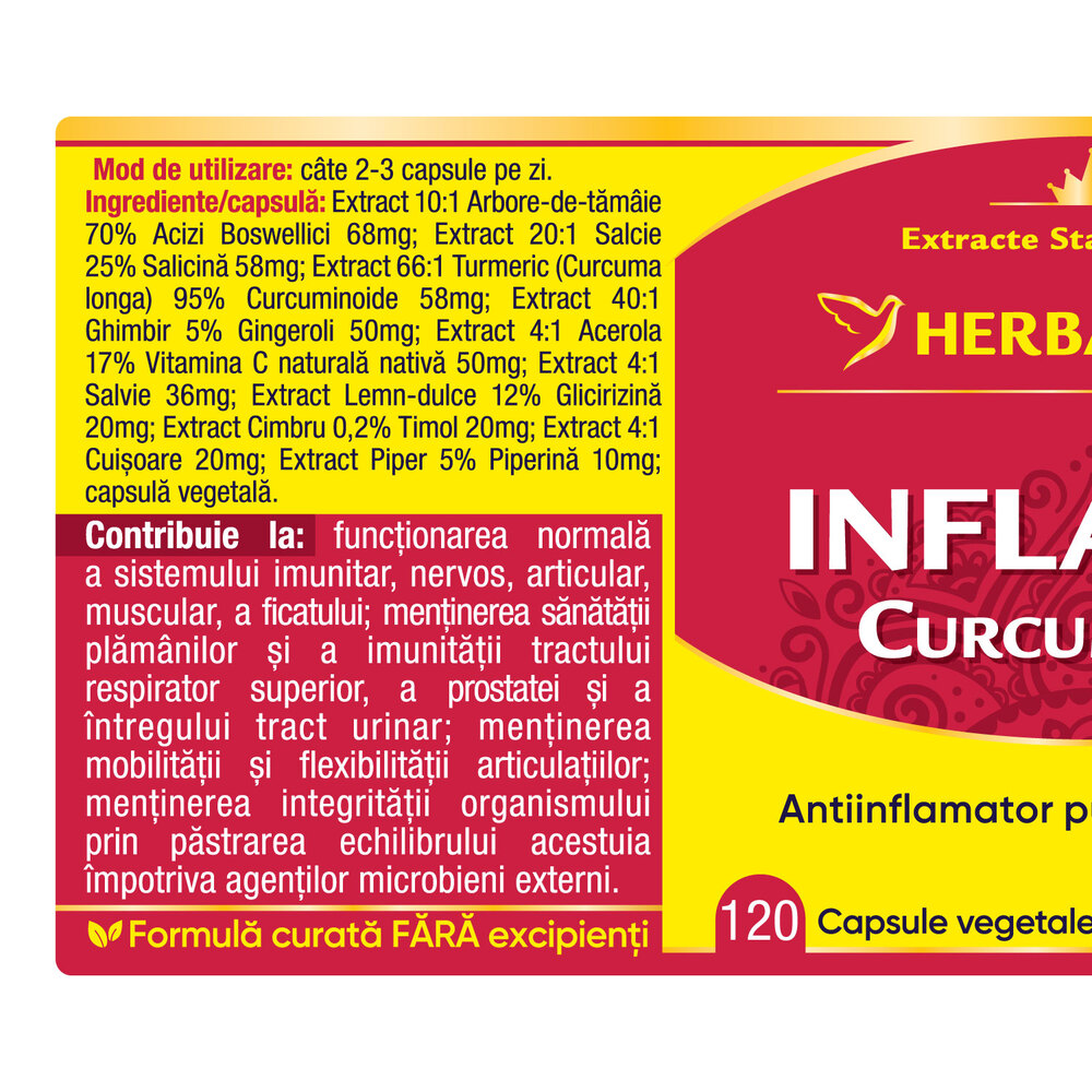 Inflanat Curcumin 95, 120 capsule, Herbagetica : Farmacia Tei online