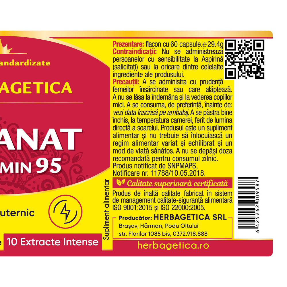 Inflanat Curcumin 95, 60 capsule, Herbagetica : Farmacia Tei online