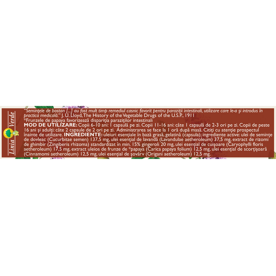 Vermicin Forte, 20 capsule moi, Fares : Farmacia Tei online